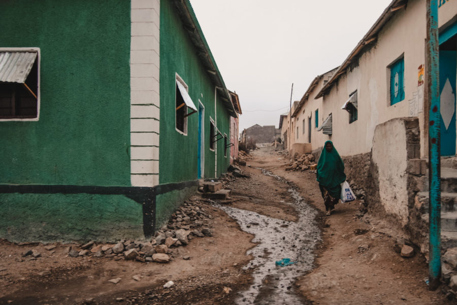 Through the Lens: Capturing Field Research – Whispers & Giants